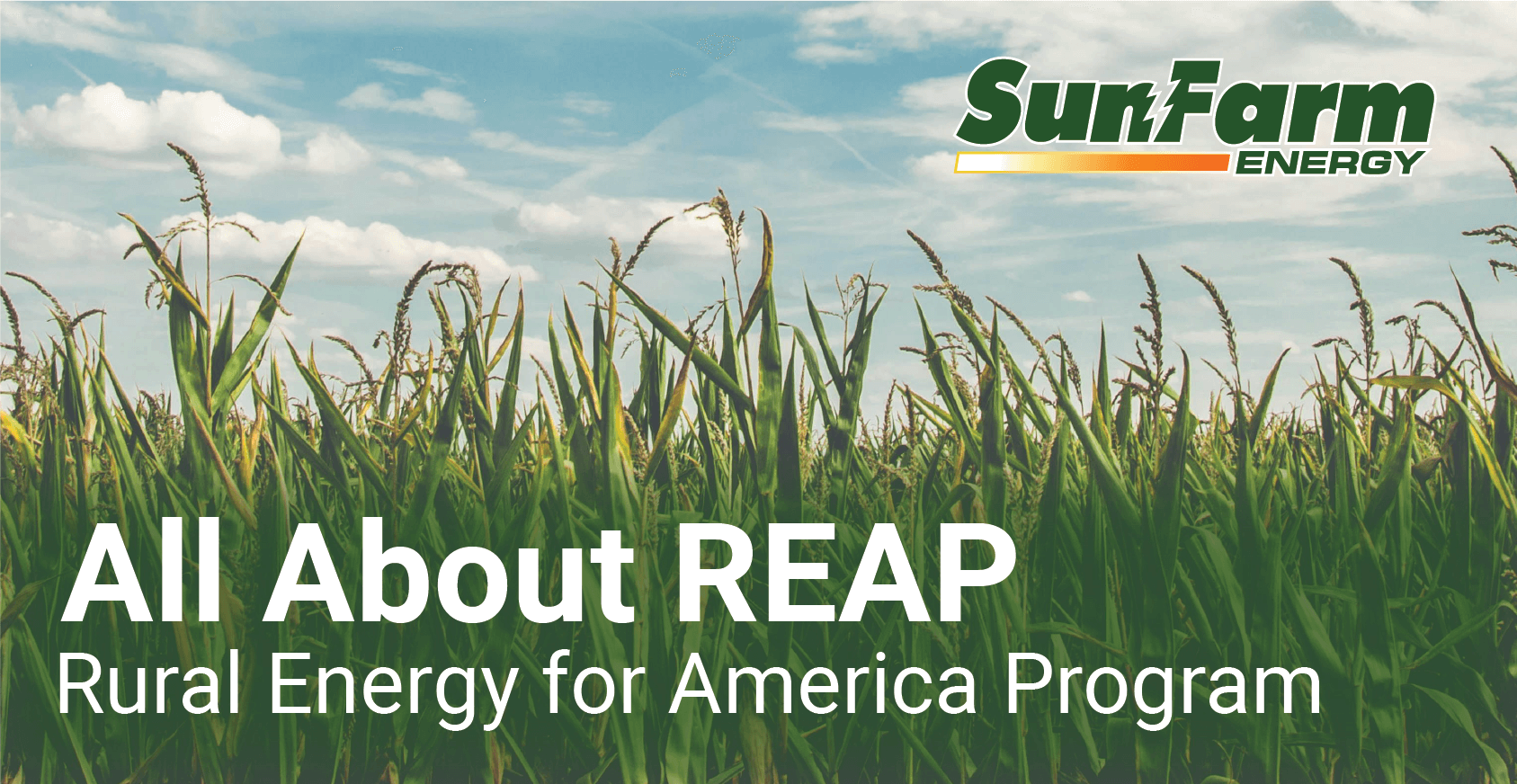 All About REAP - SunFarm Energy