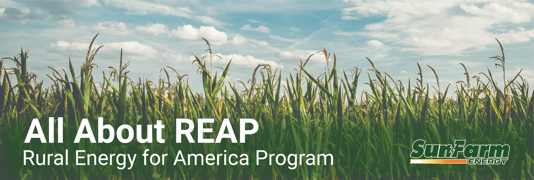 All About REAP - SunFarm Energy